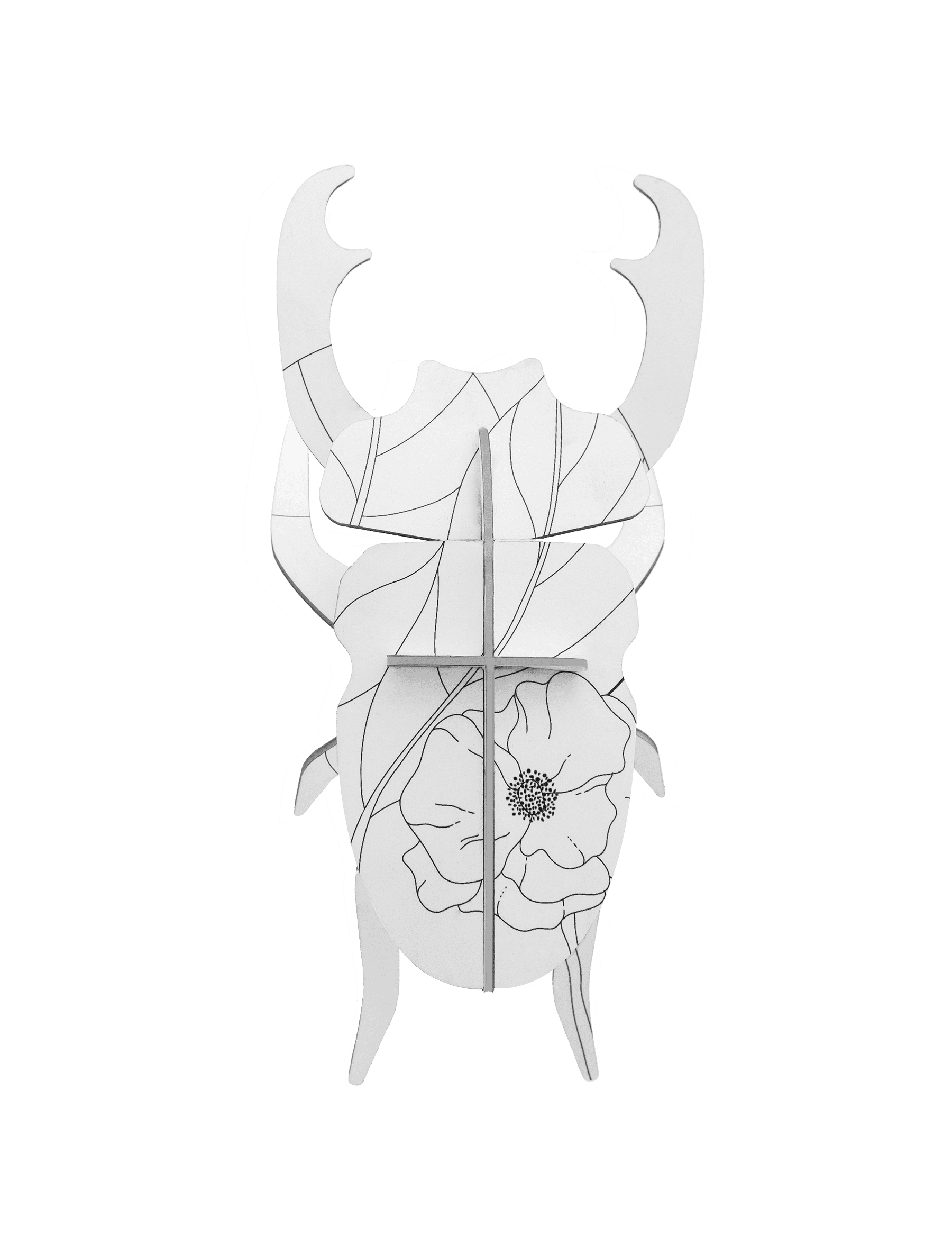 DIY, Stag beetle - Studio ROOF