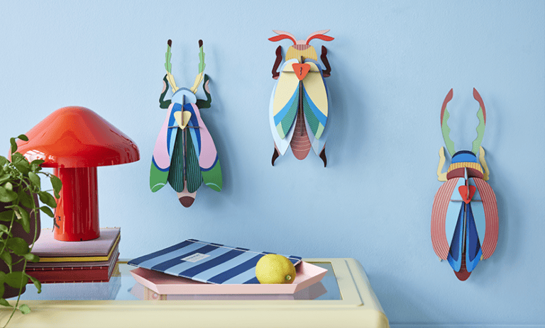 Beetles - Studio ROOF