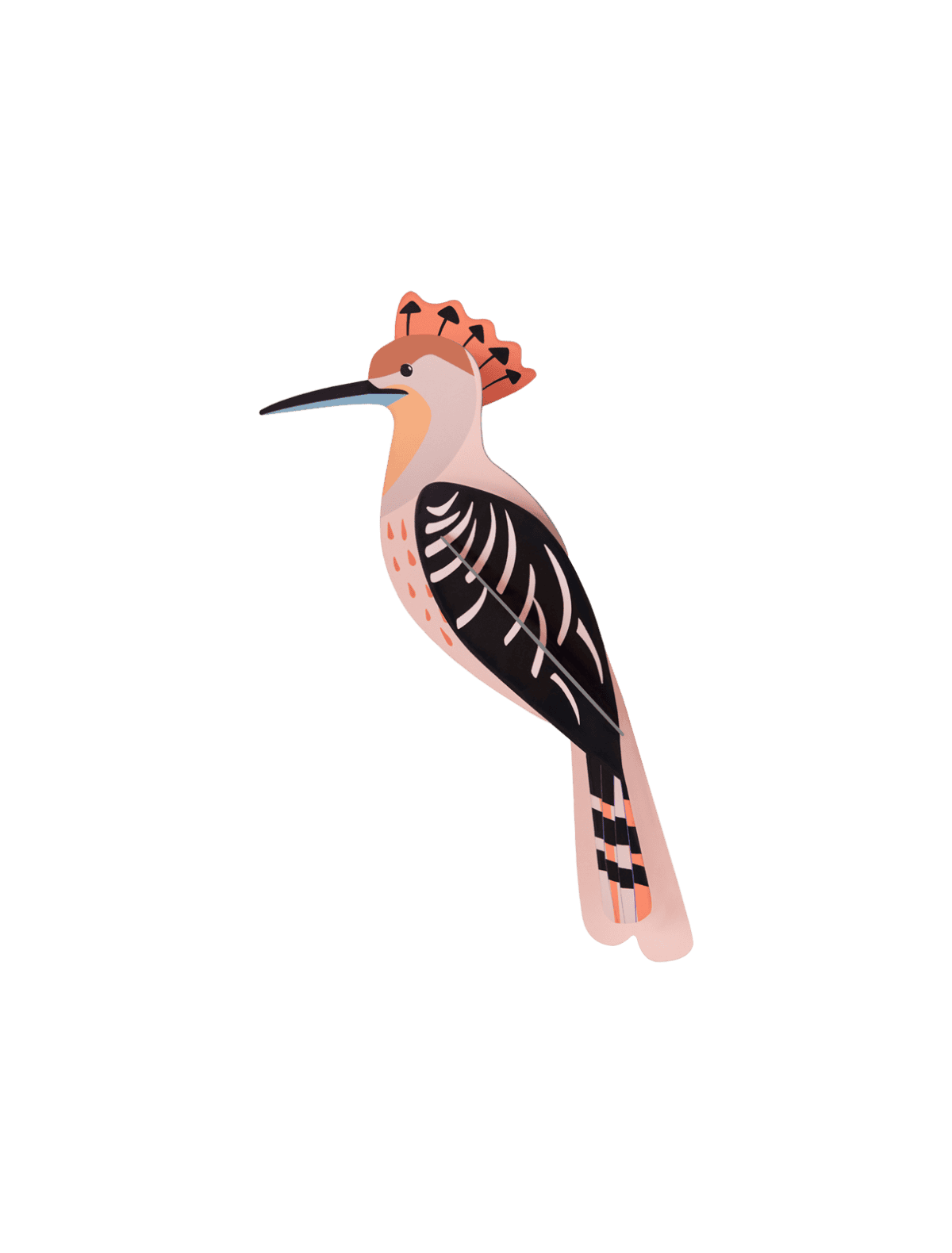 Hoopoe Studio ROOF